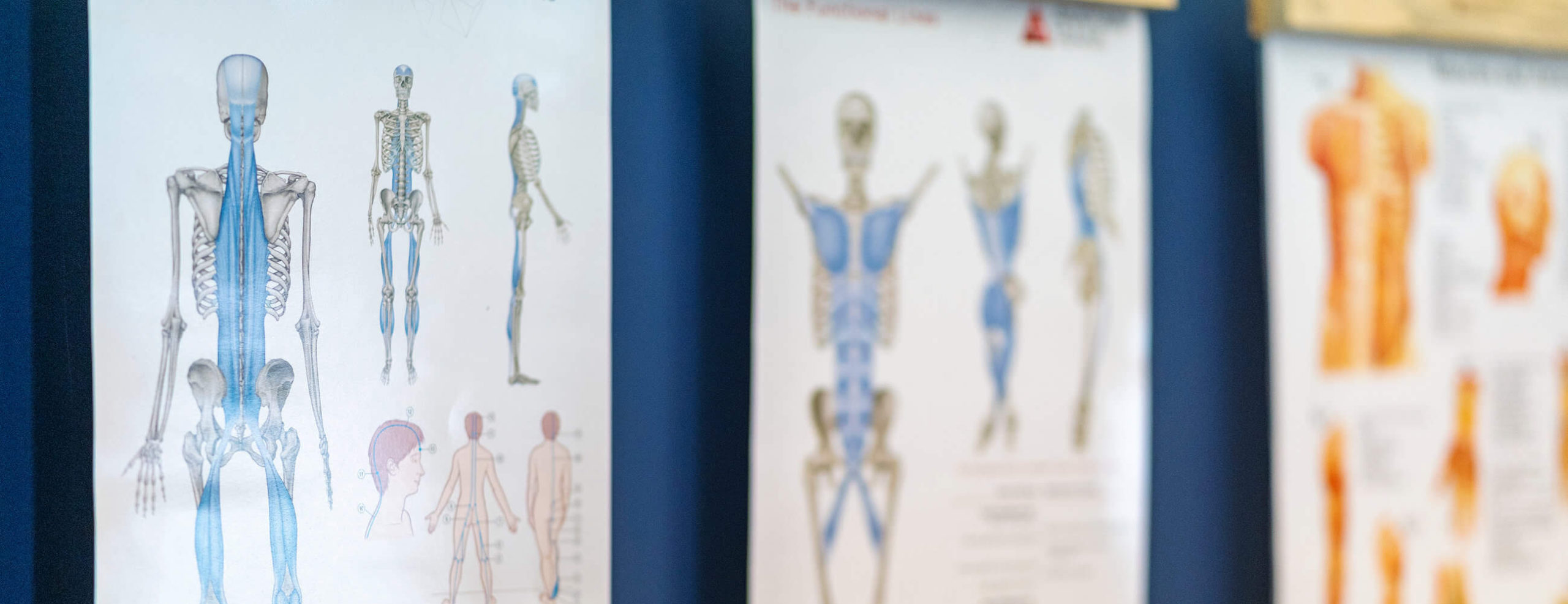 What should I expect during my chiropractic evaluation? - Lifestyle ...